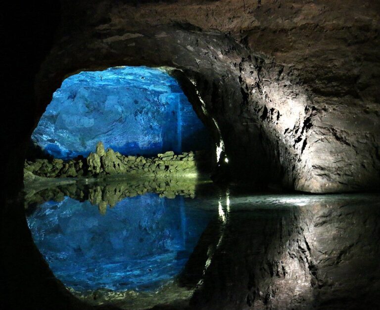 Vienna Woods: 7 Enchanting Ideas For Your Day Out