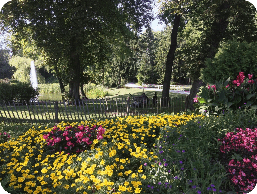 Türkenschanzpark: What To Do & See? - Vienna Unwrapped